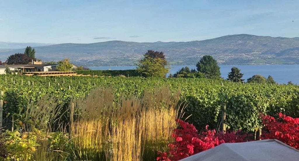 Touring West Kelowna Wineries on a Sunny Fall Day - BCwinetrends