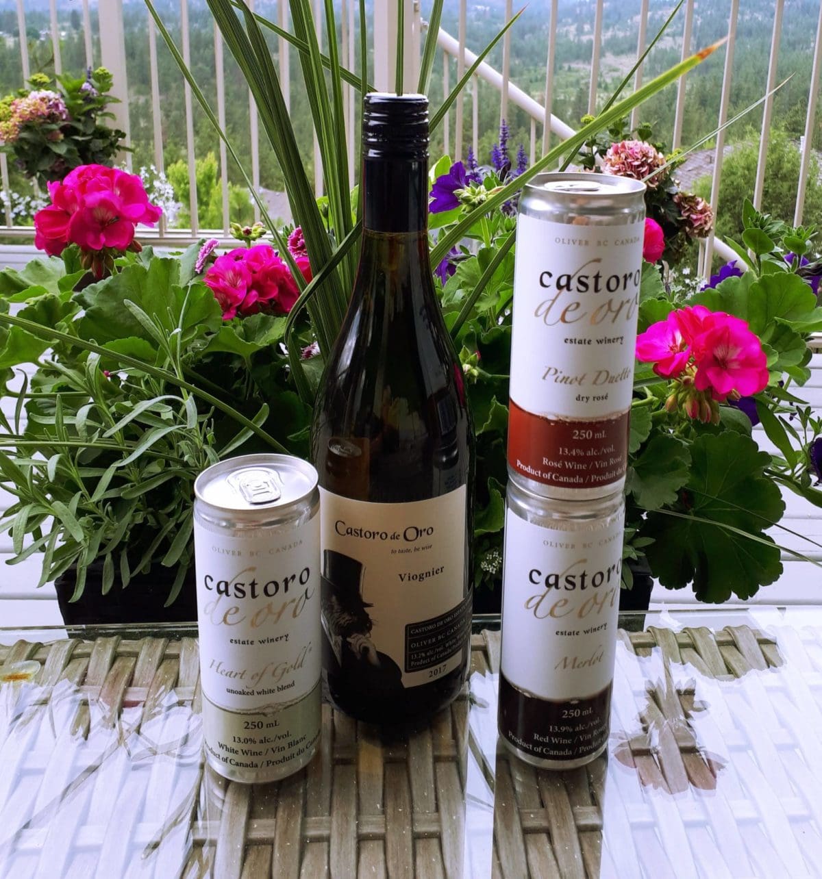 Castoro de Oro Winery for wines in a CAN - BCwinetrends