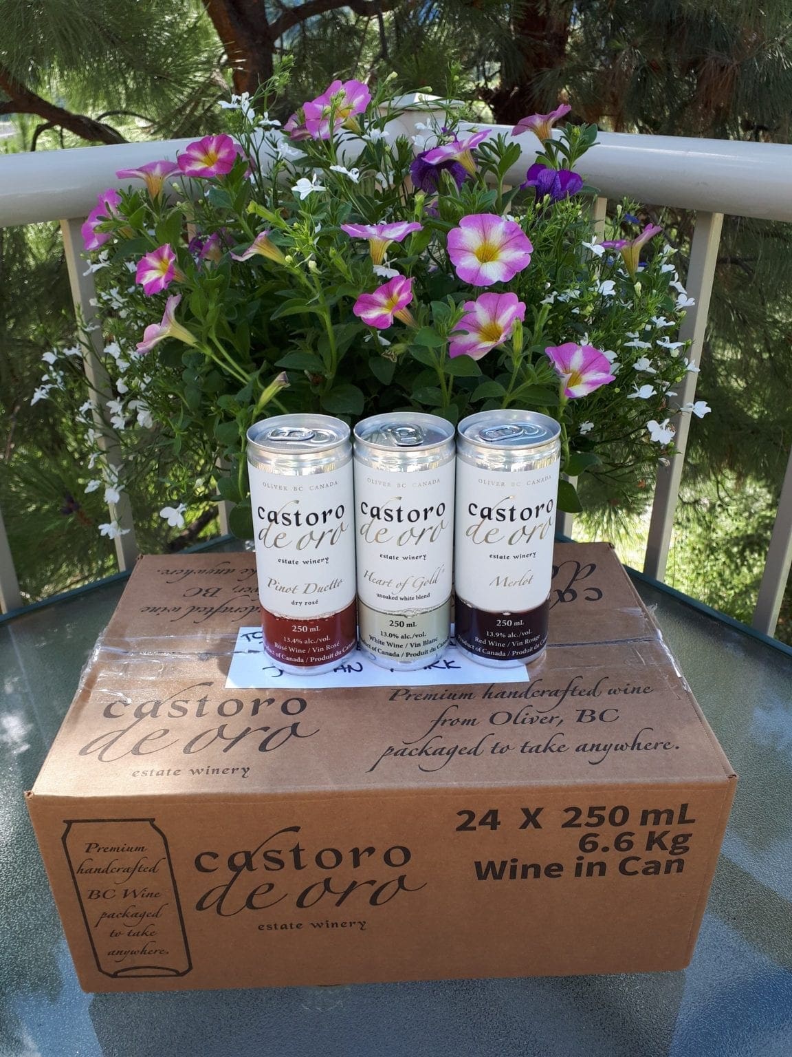 Castoro de Oro Winery for wines in a CAN - BCwinetrends