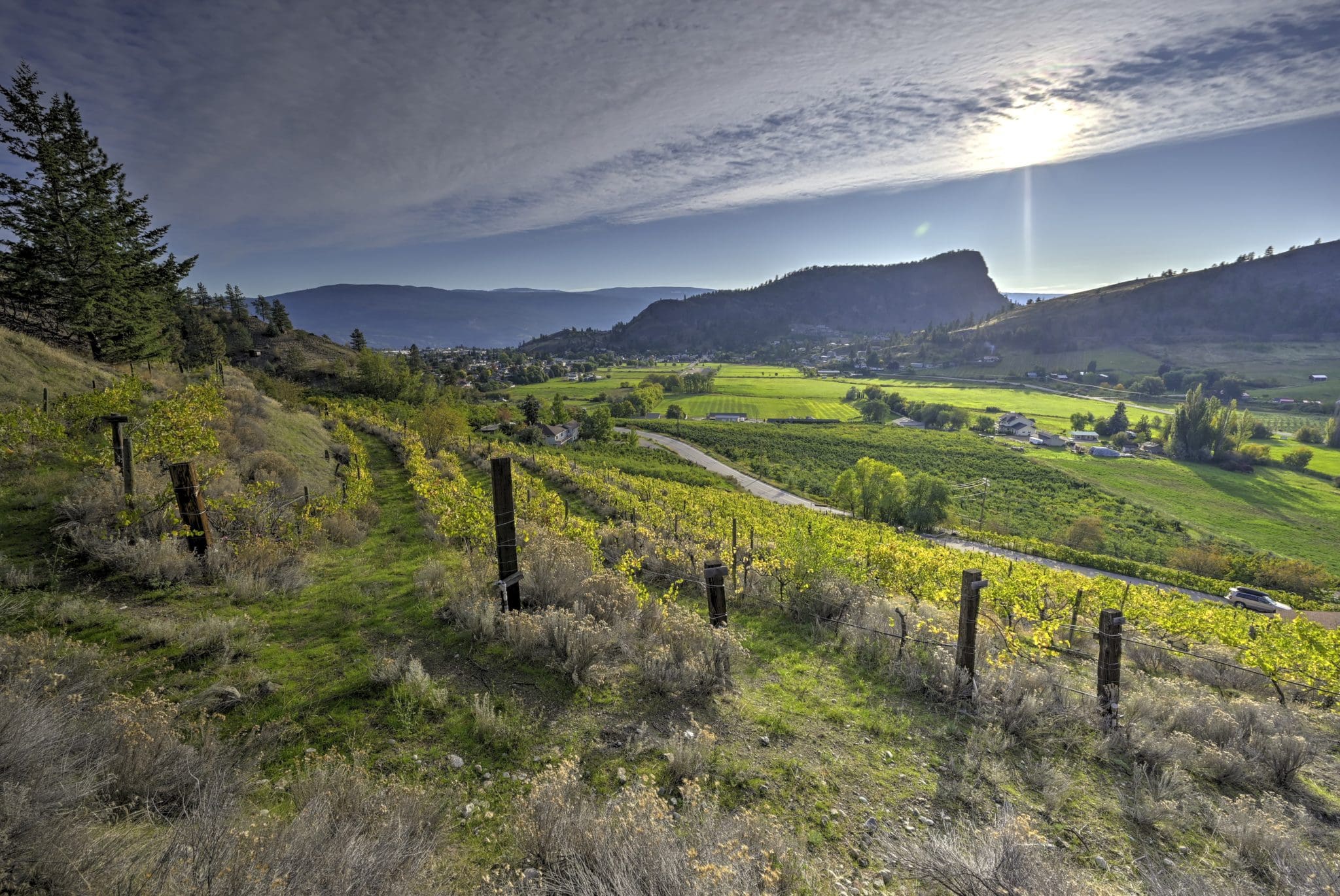 Lightning Rock Winery - Sparkling Wines and More - BCwinetrends