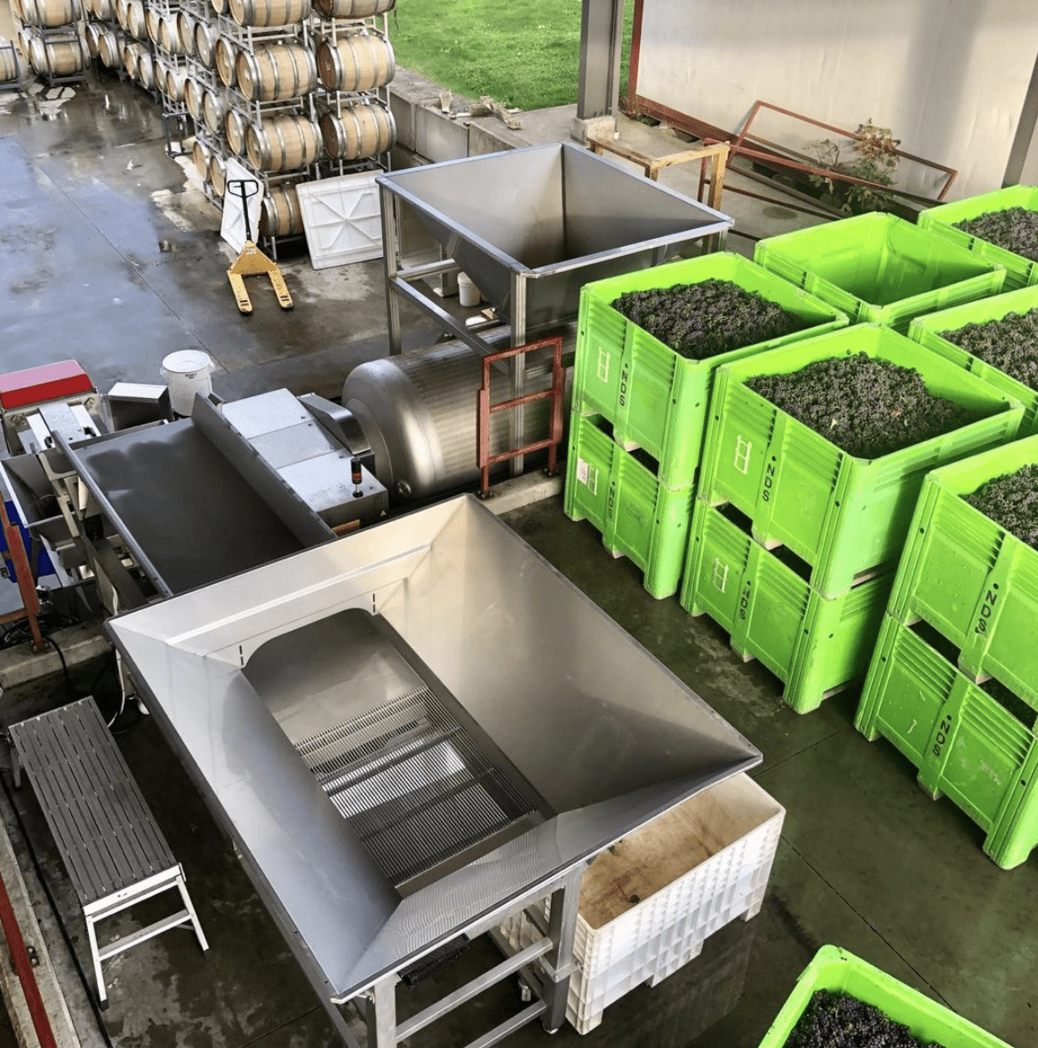 Winemaker's Thoughts on BC Harvest 2020 - Take 2 - BCwinetrends