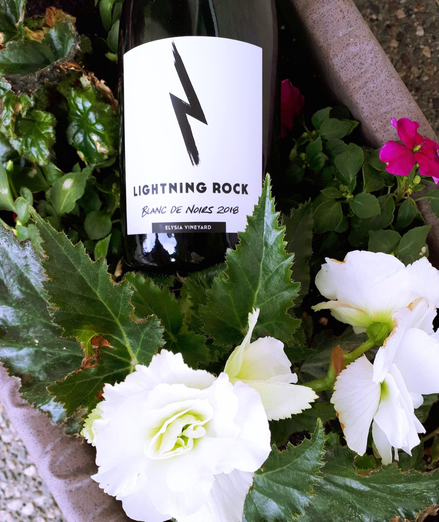 Lightning Rock Winery - Sparkling Wines and More - BCwinetrends