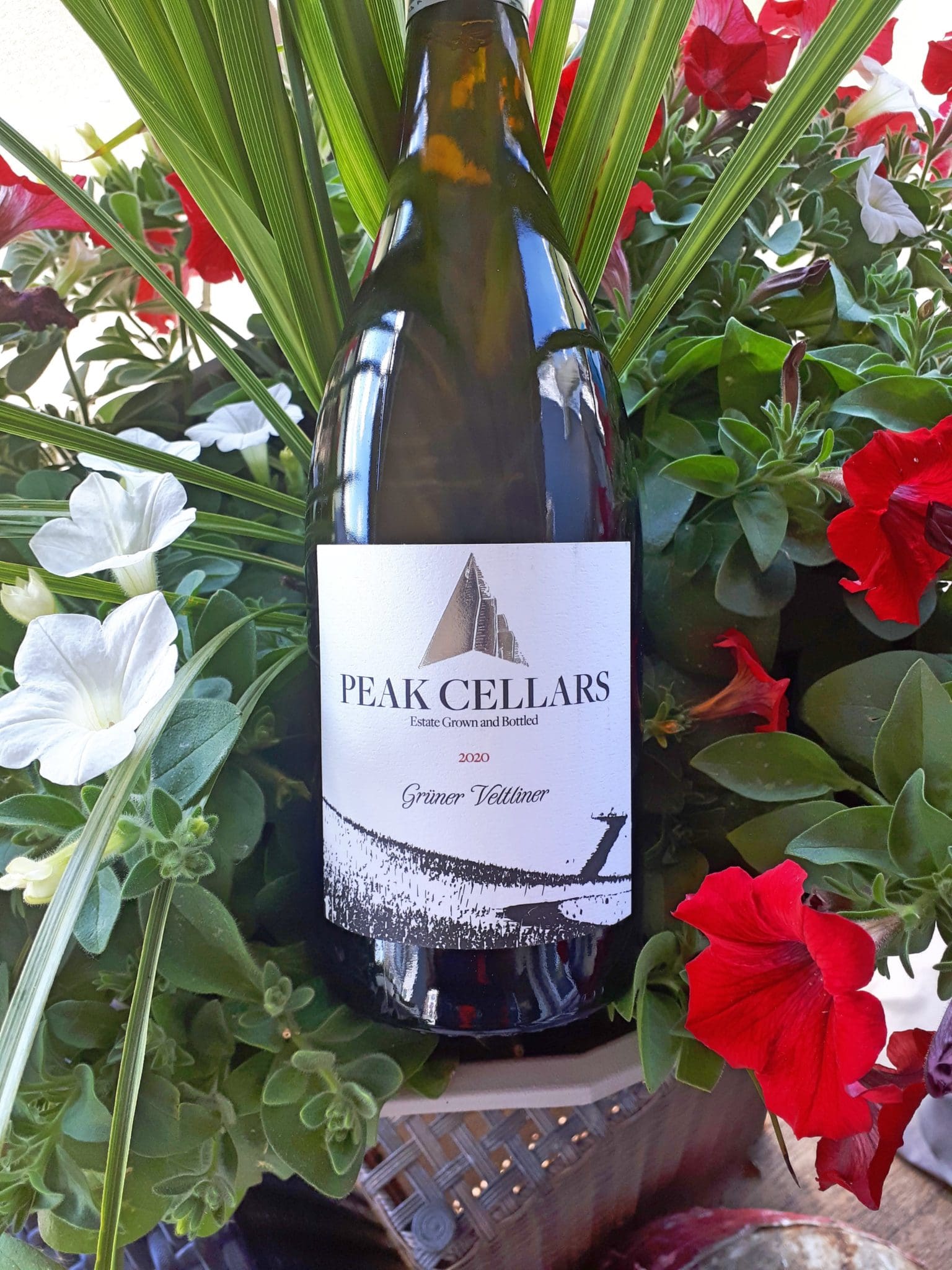 Peak Cellars Releases 12 Wines for 2021 - BCwinetrends