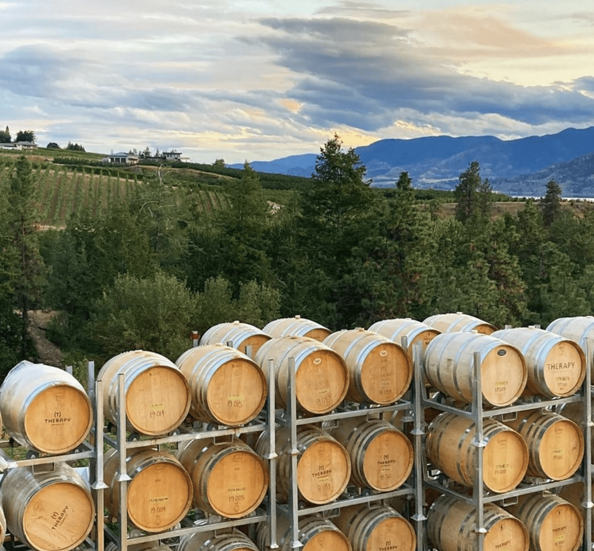 Therapy Vineyards & Inn for fine wine and relaxation - BCwinetrends