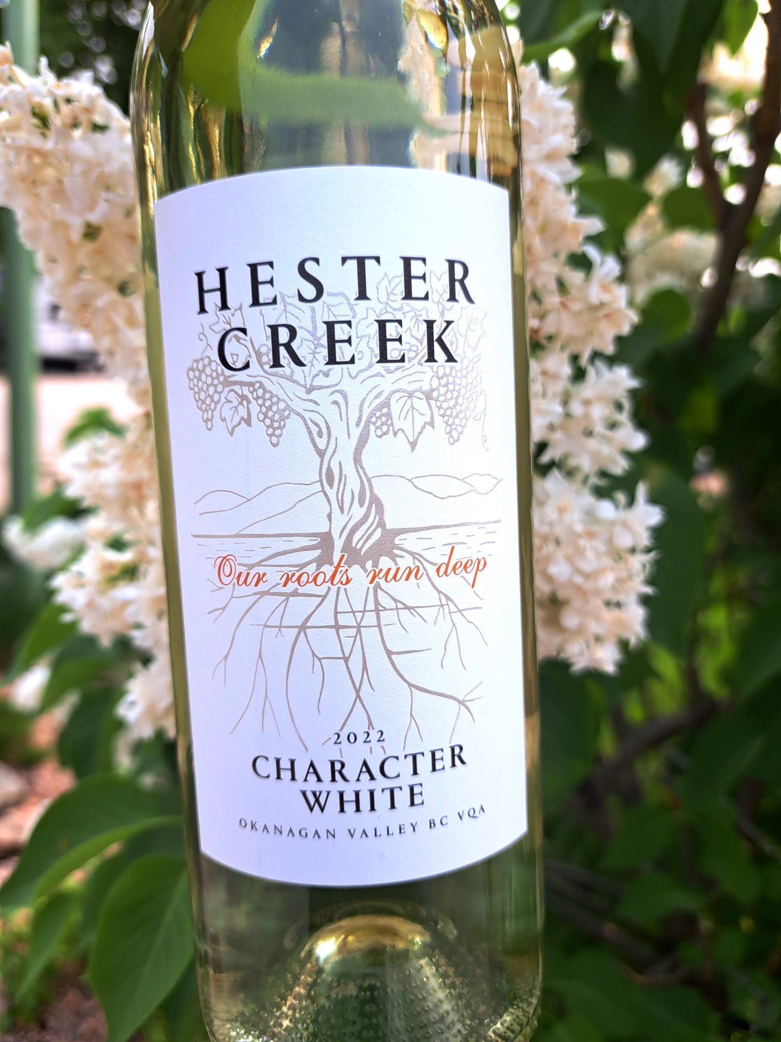 Hester Creek's 2022 Whites & Rosé - BCwinetrends