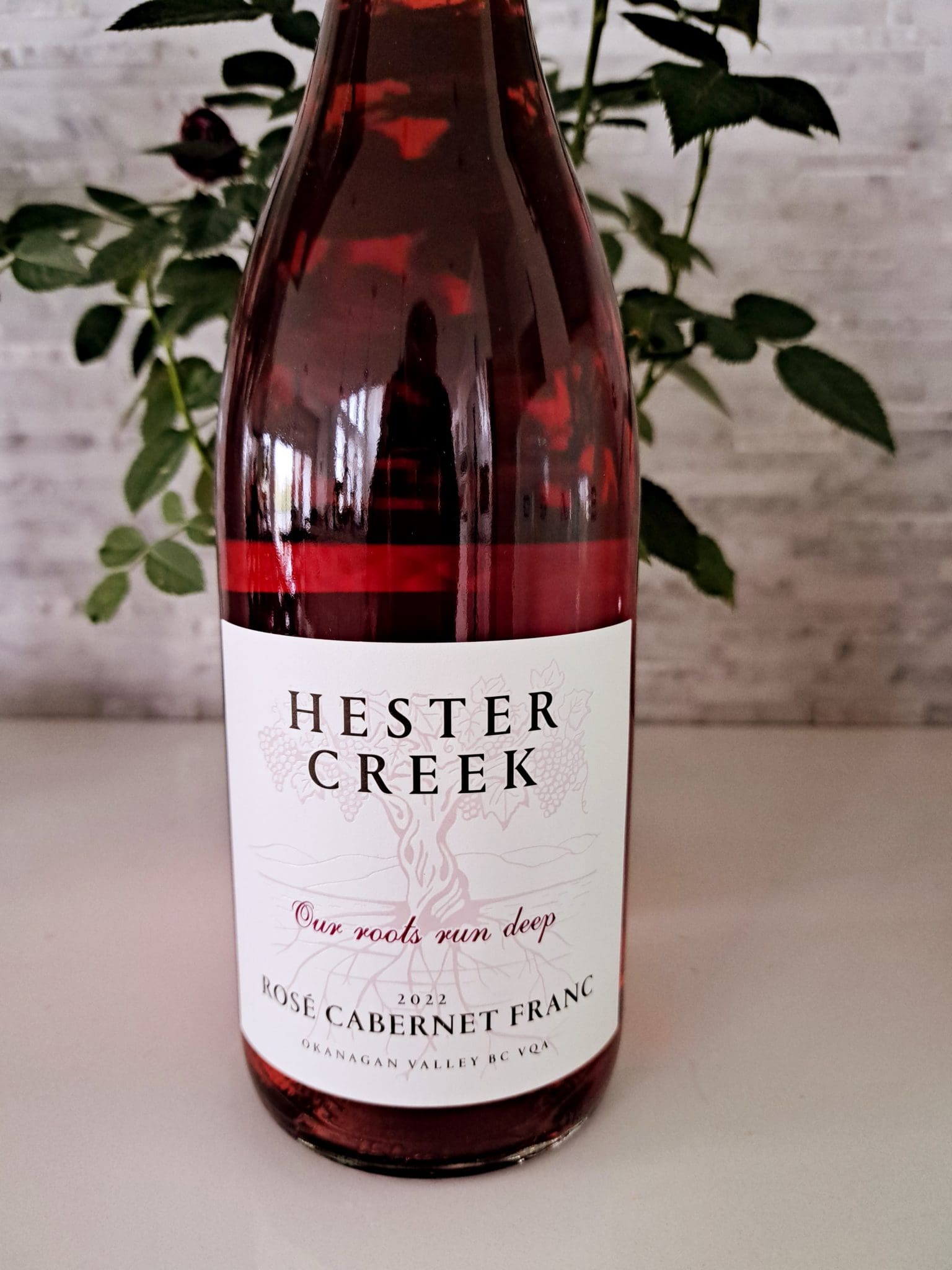 Hester Creek's 2022 Whites & Rosé - BCwinetrends