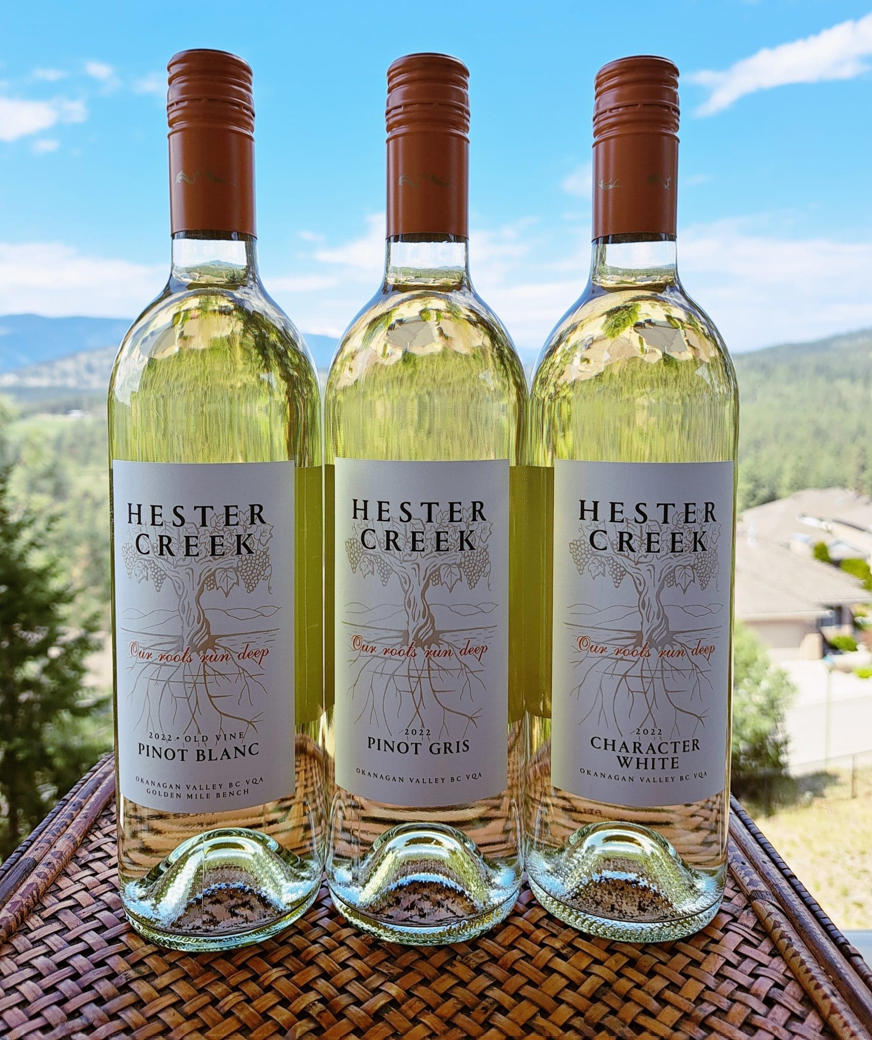Hester Creek's 2022 Whites & Rosé - BCwinetrends