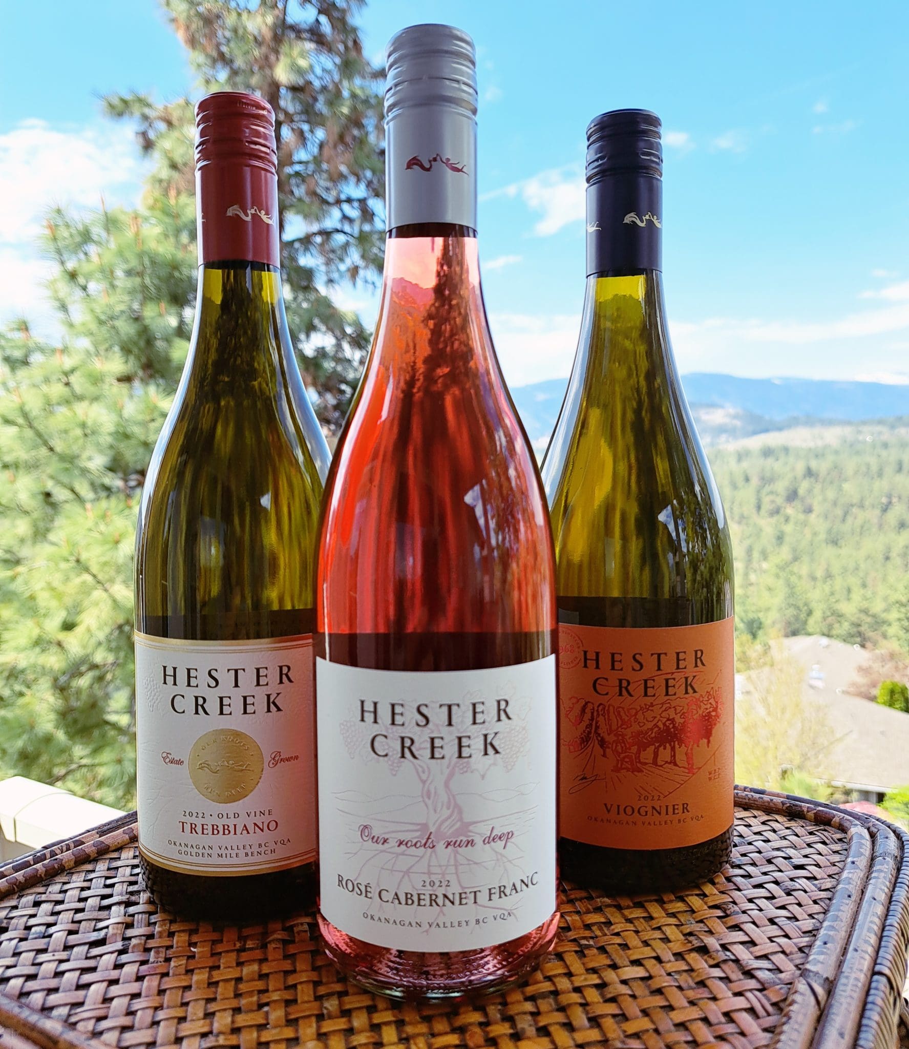 Hester Creek's 2022 Whites & Rosé - BCwinetrends