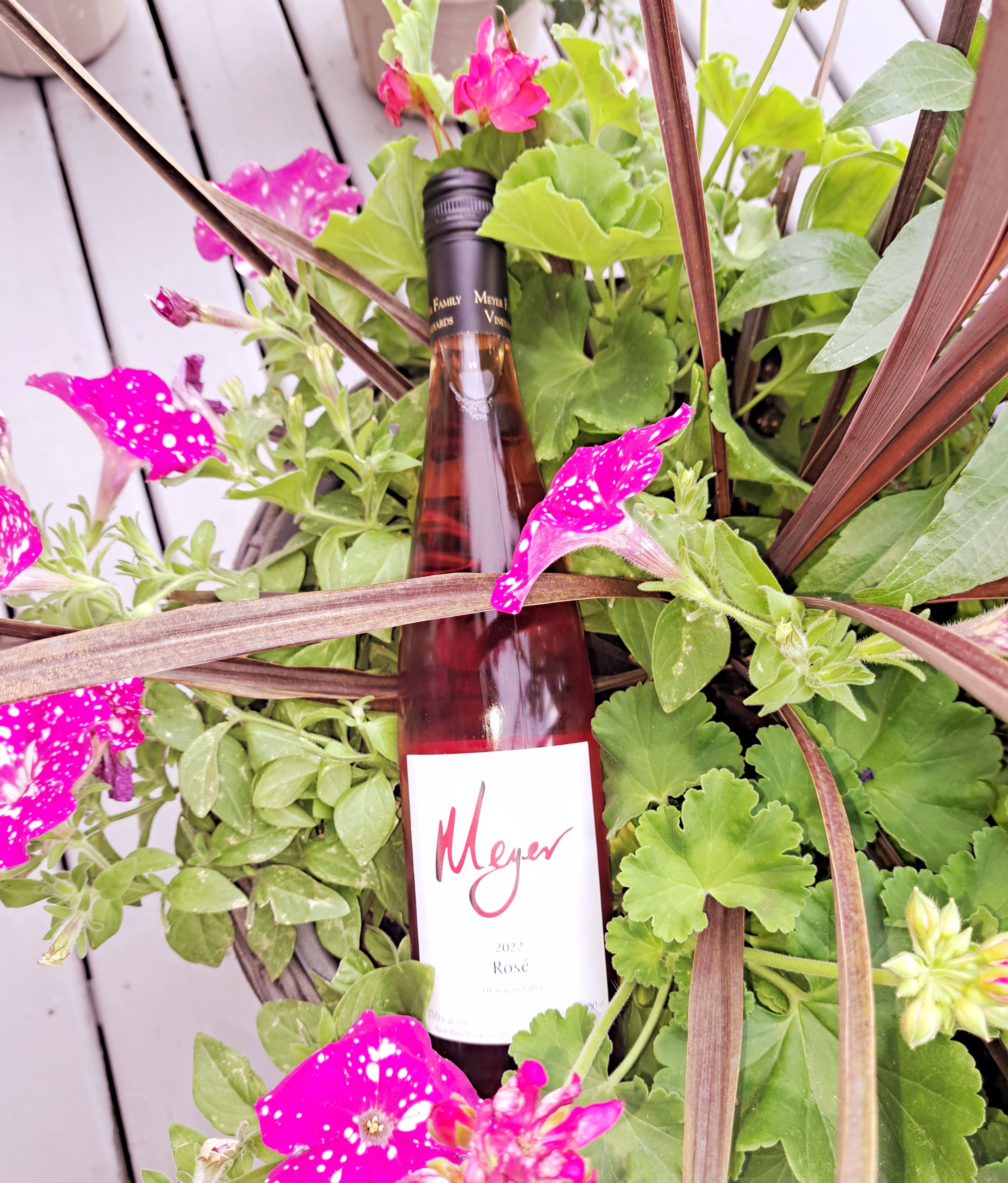 Meyer Family Vineyards New Releases - BCWineTrends