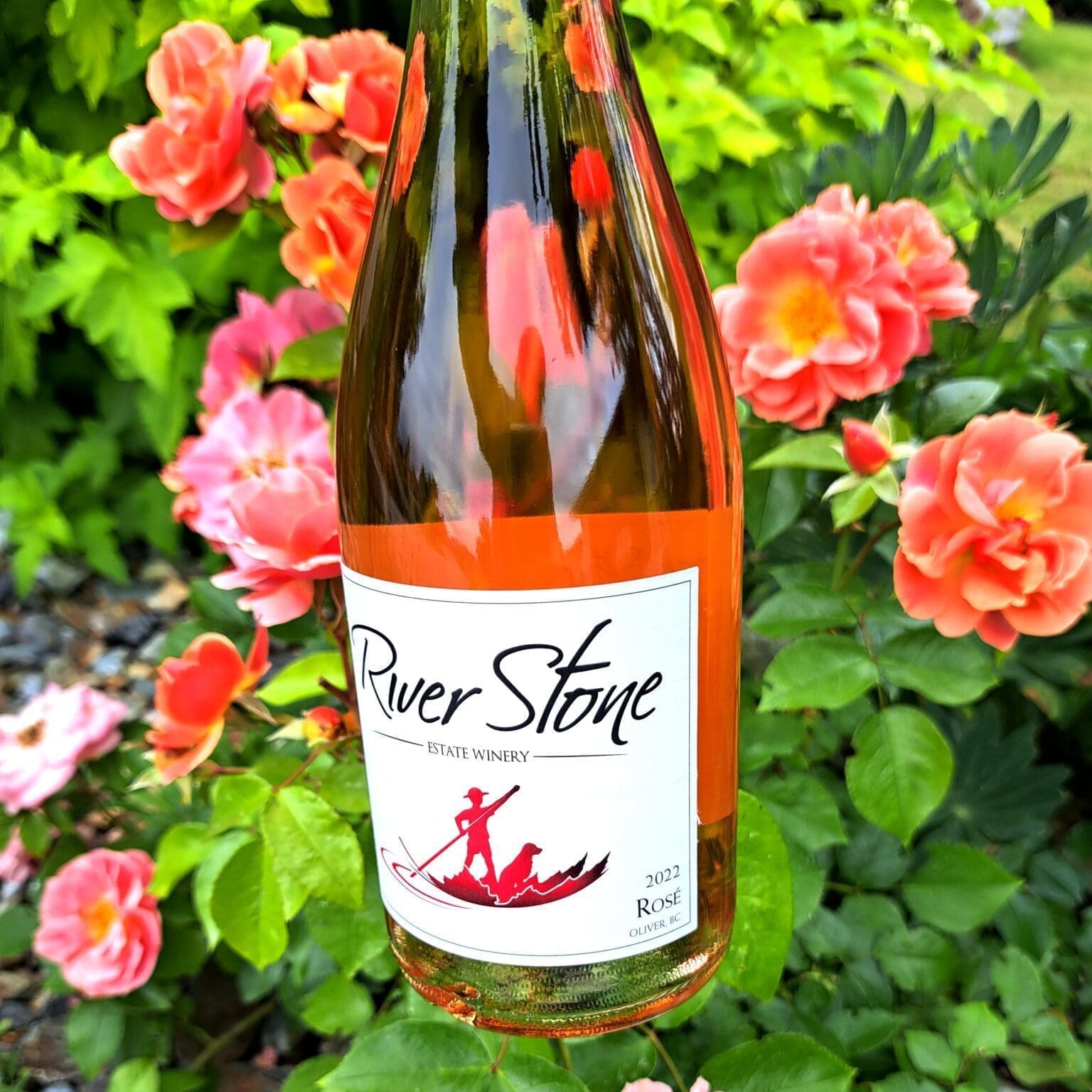 River Stone Releases a Sea of Rosé - BCWineTrends