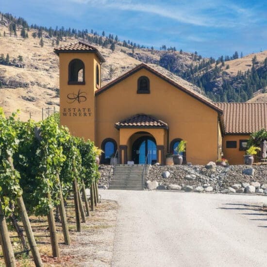 BCwinetrends - Your Guide to the Best Value BC Wine
