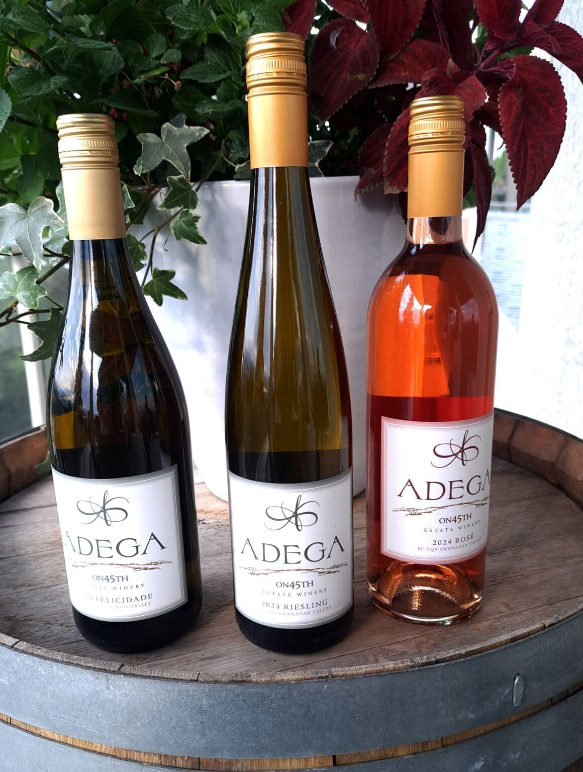 A New Era at Adega on 45th - BCWineTrends